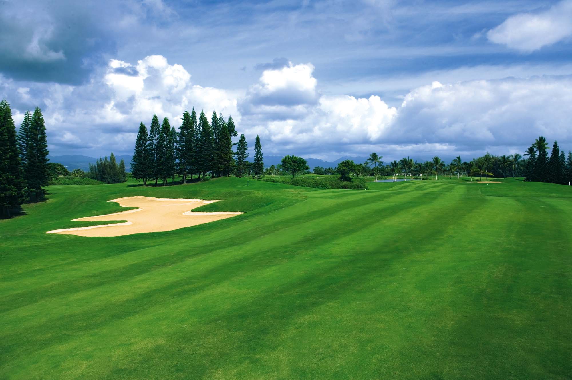 Hawaii Prince Golf Club – Gryphon Golf and Ski